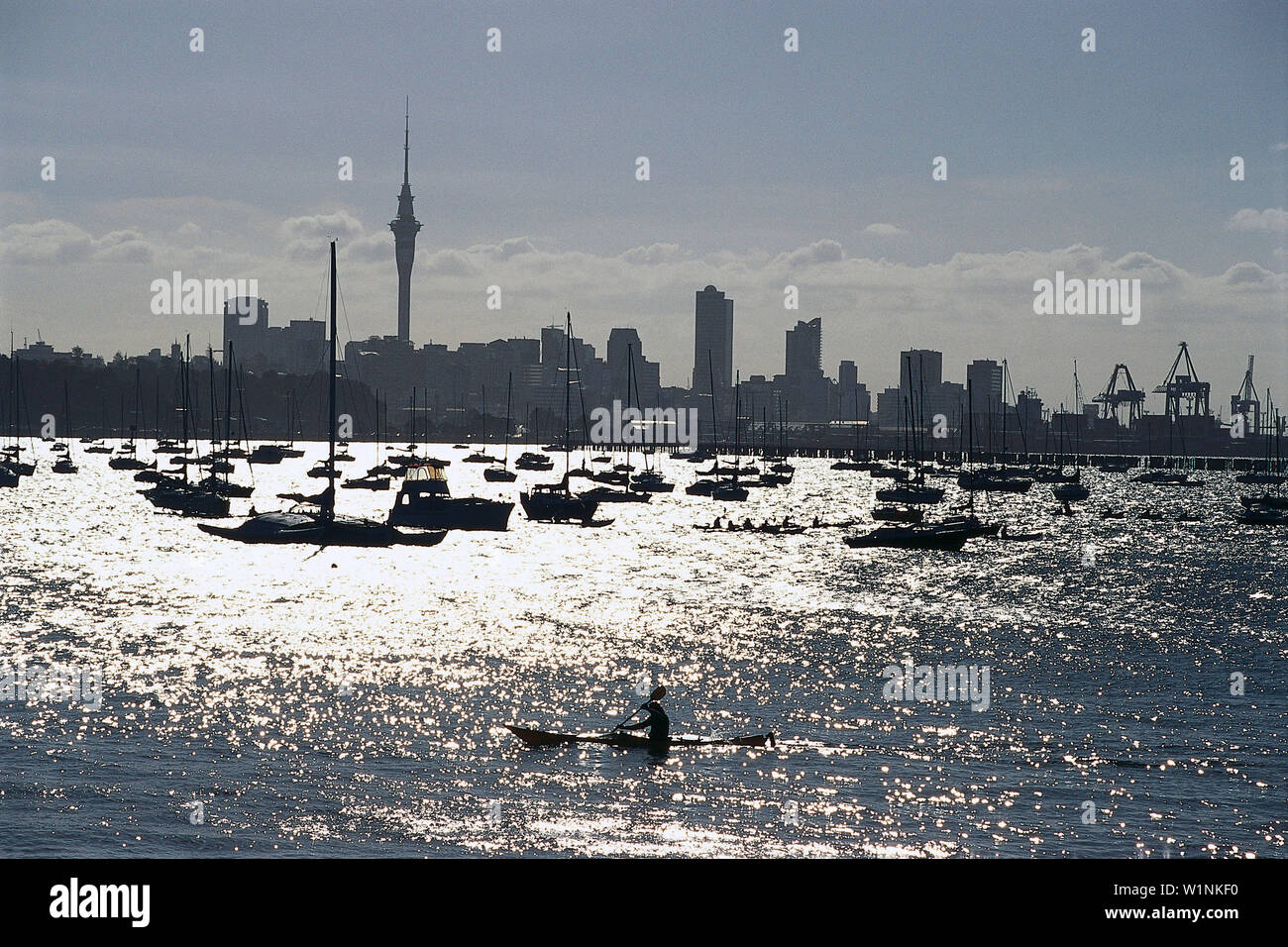 Yachts & Skyline, Okahu Bay Auckland, New Zealand Stock Photo - Alamy