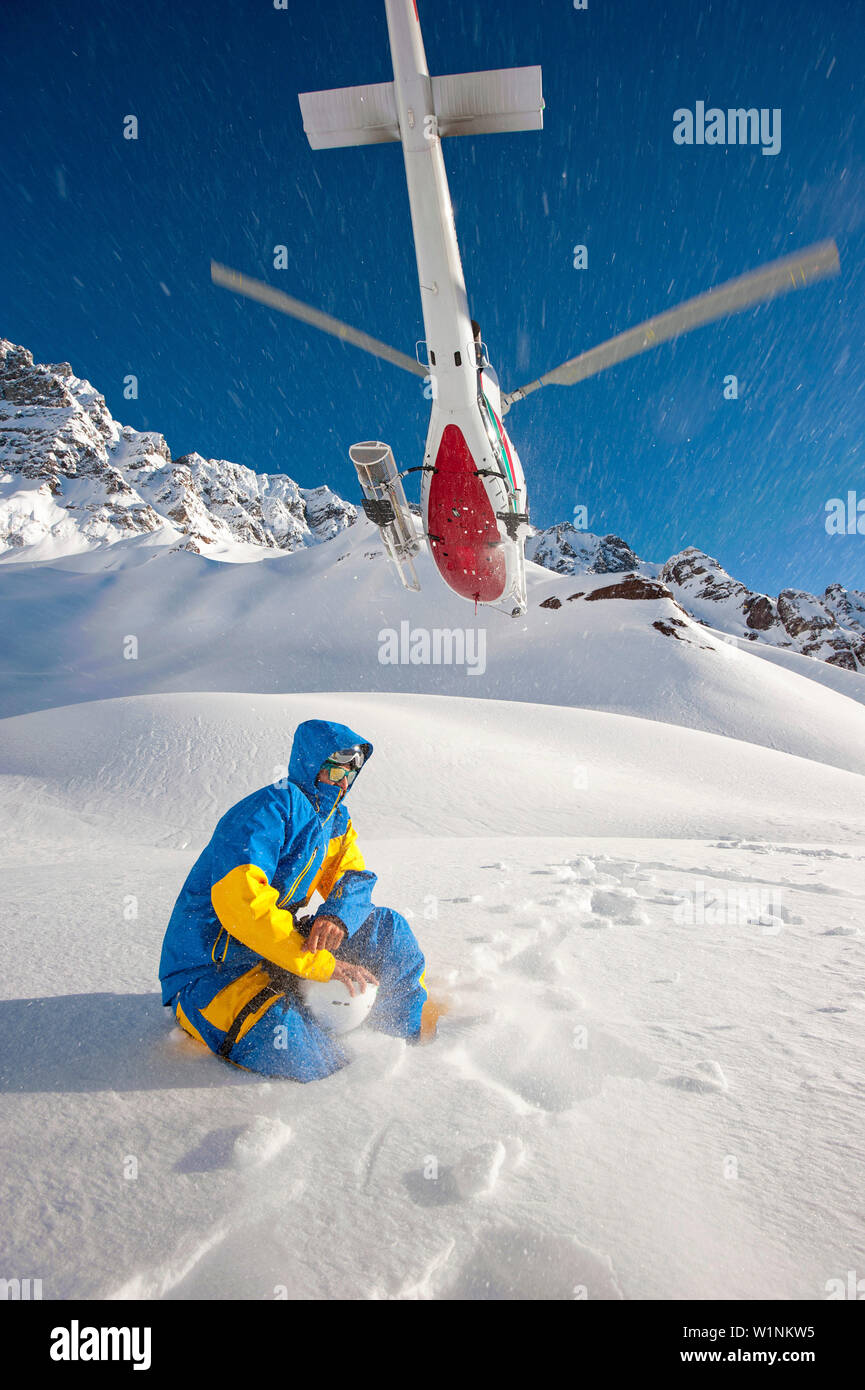 Puma profile hi-res stock photography and images - Alamy