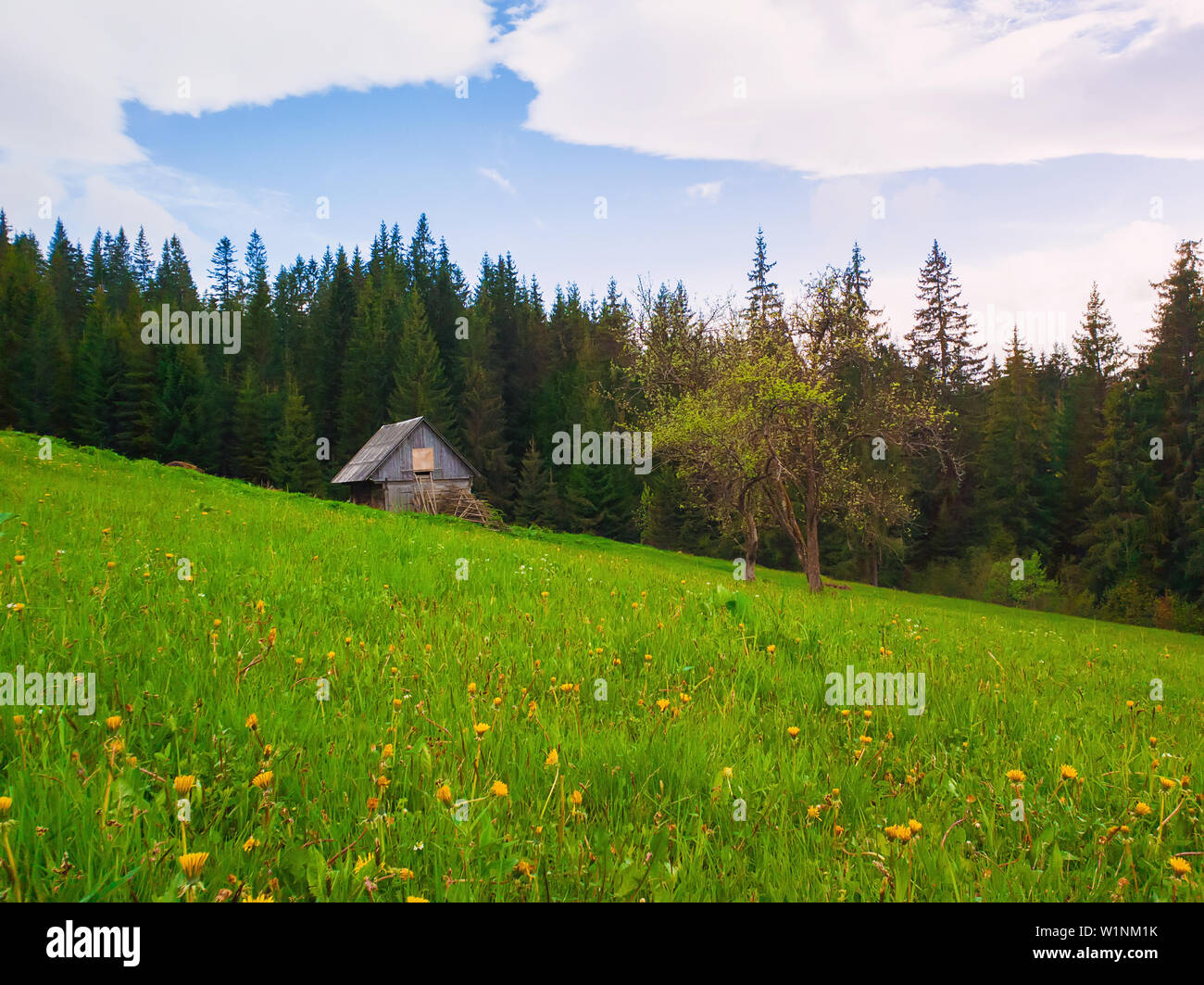 Wooden cabin in the mountains hi-res stock photography and images - Alamy