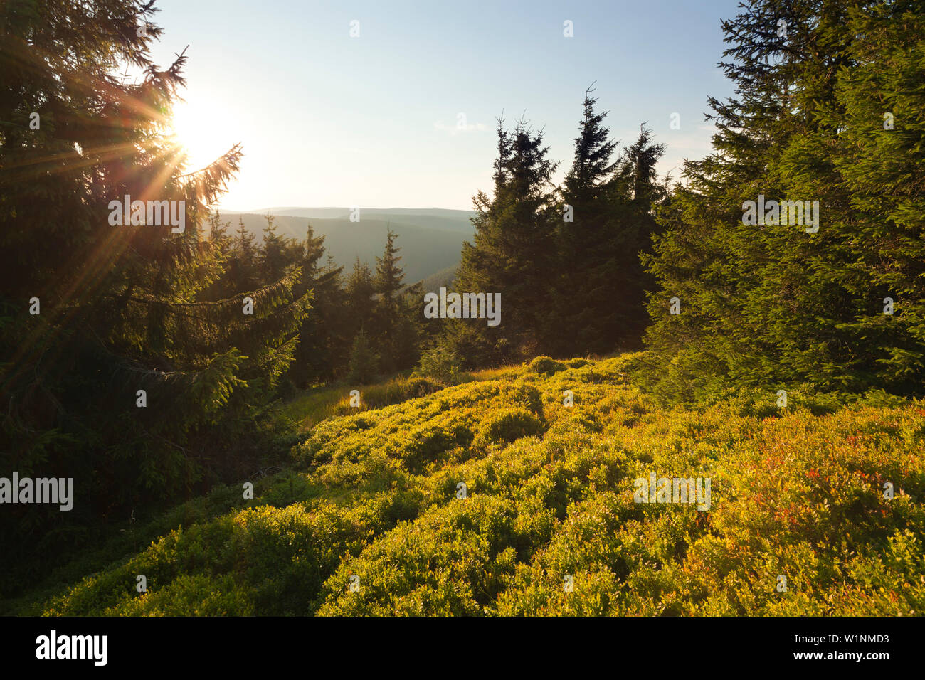 Sunset at Schneekopf hill, nature park Thueringer Wald, Thuringia ...