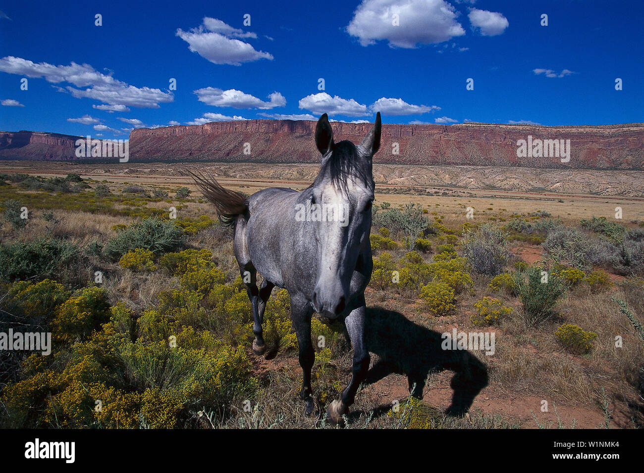 Bedrock colorado hi-res stock photography and images - Alamy