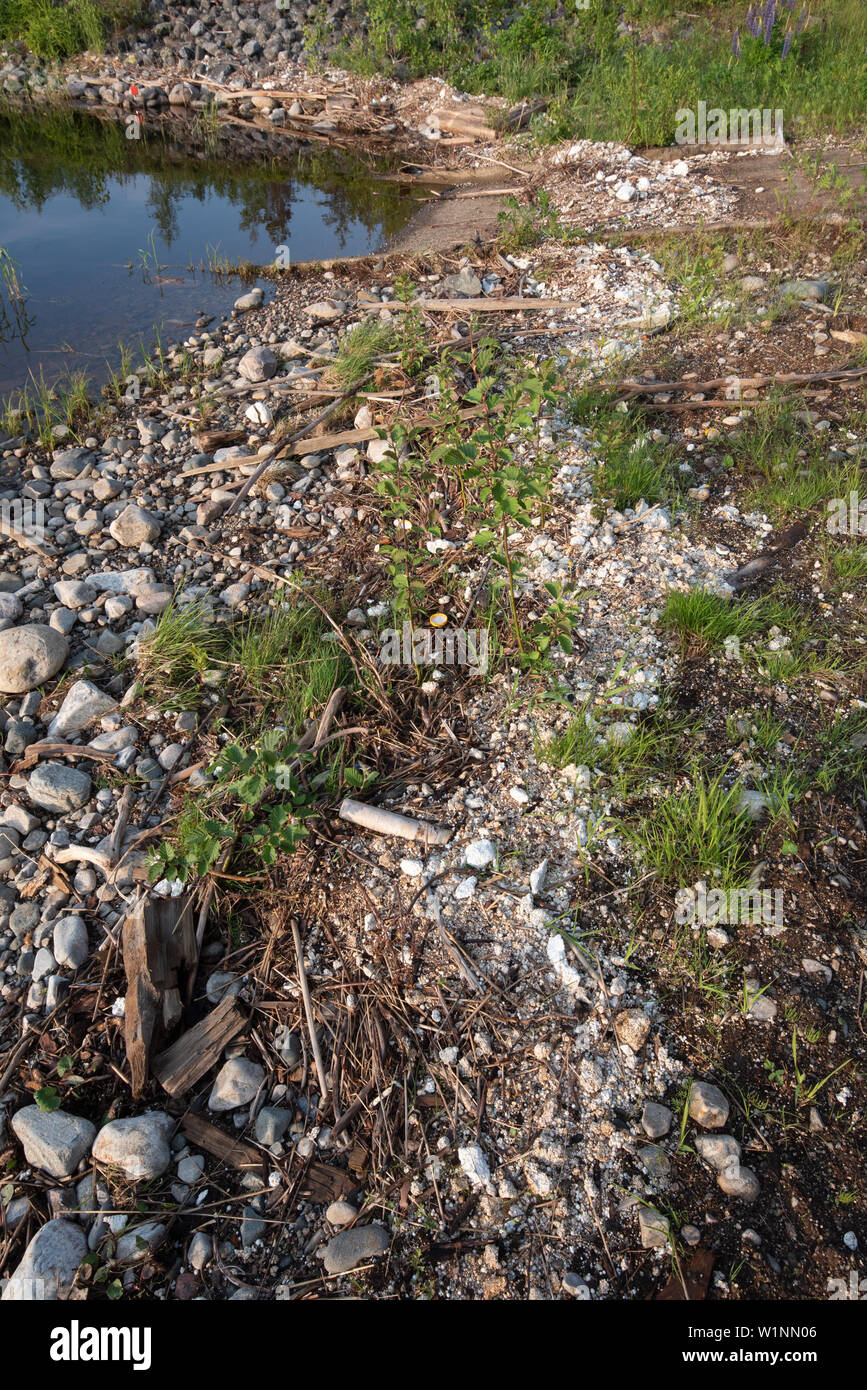 Polystyrene, styrofoam garbage on the shore Stock Photo - Alamy