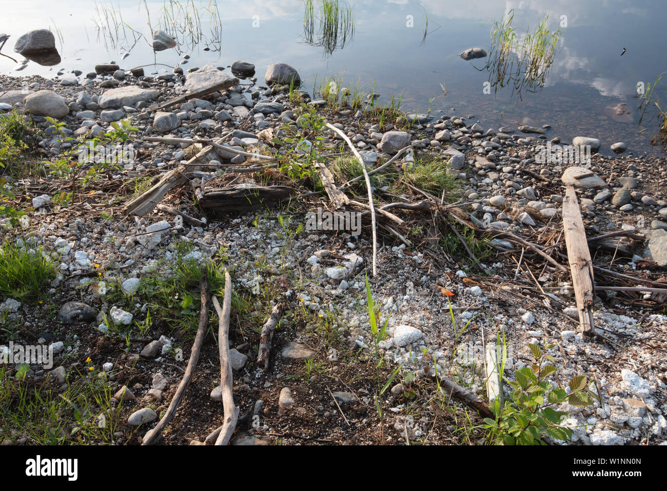 Polystyrene, styrofoam garbage on the shore Stock Photo - Alamy