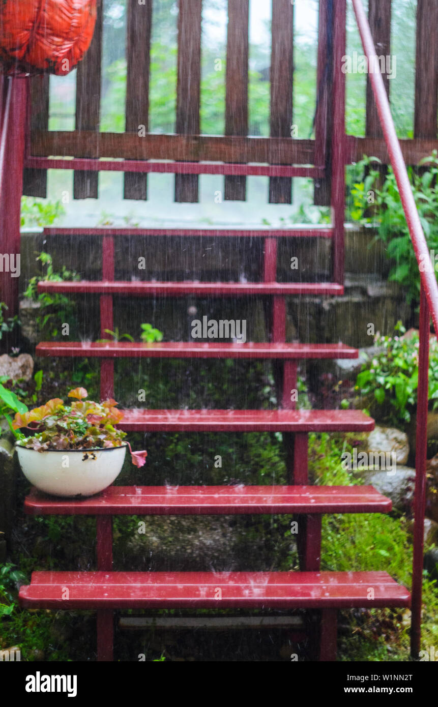 Heavy summer rain in park hi-res stock photography and images - Alamy