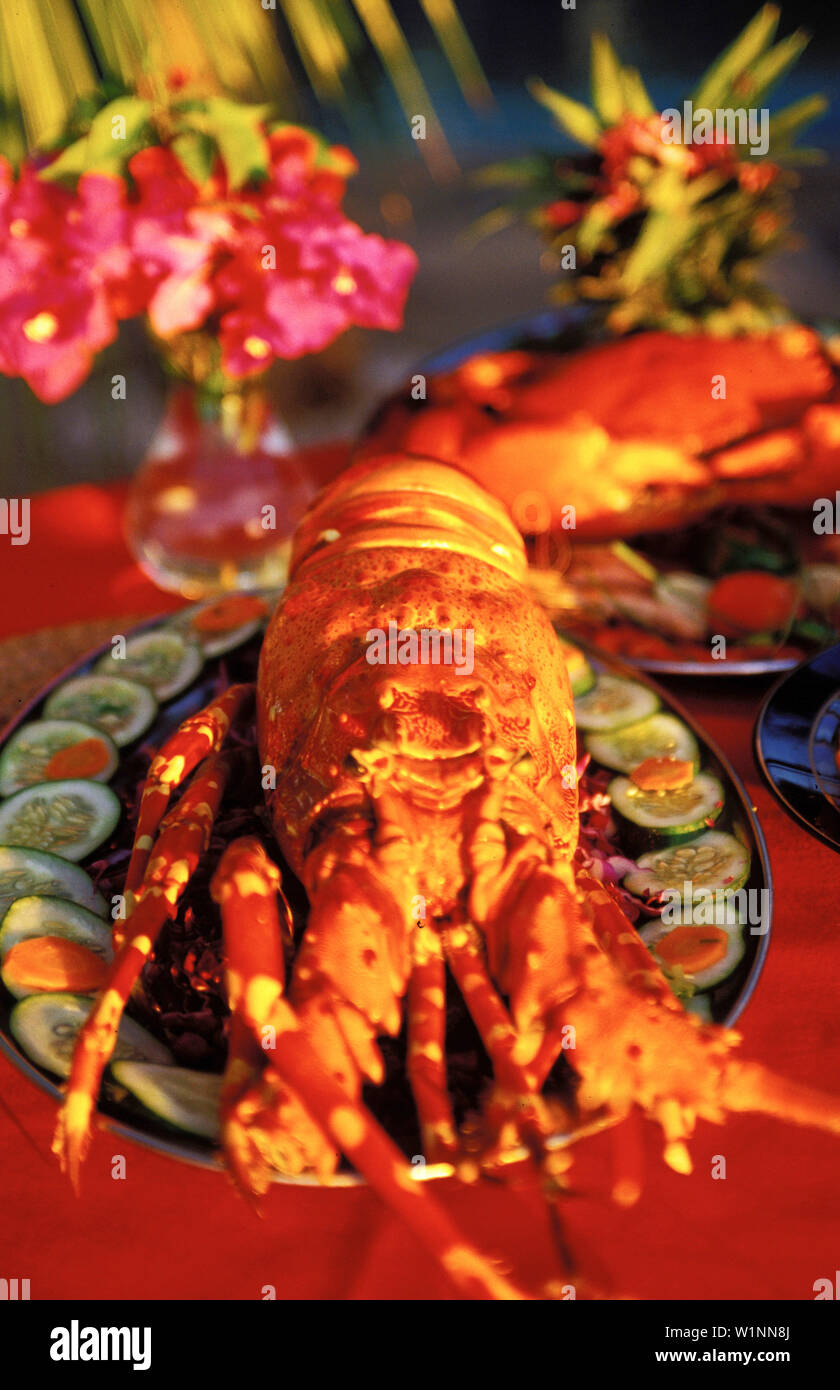 Animal buffet hi-res stock photography and images - Alamy