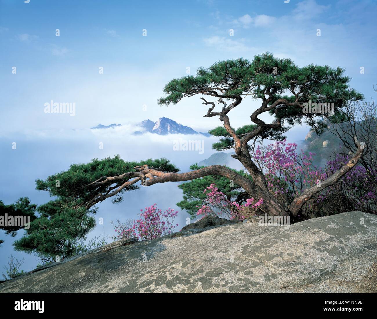 Bukhan Mountain National Park Stock Photo - Alamy