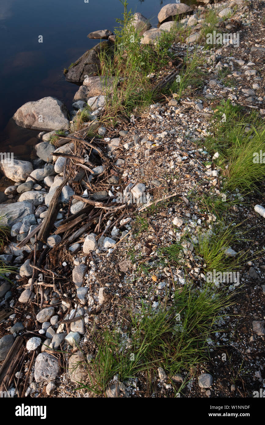 Polystyrene, styrofoam garbage on the shore Stock Photo - Alamy