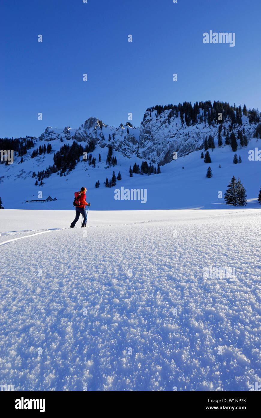 Schwabia High Resolution Stock Photography and Images - Alamy