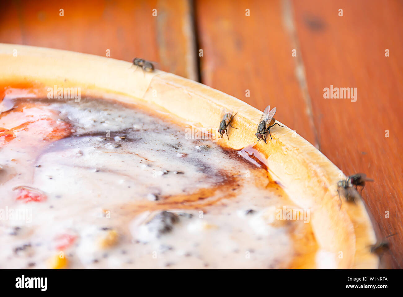 The flies that are feeding on a wooden tray Stock Photo - Alamy