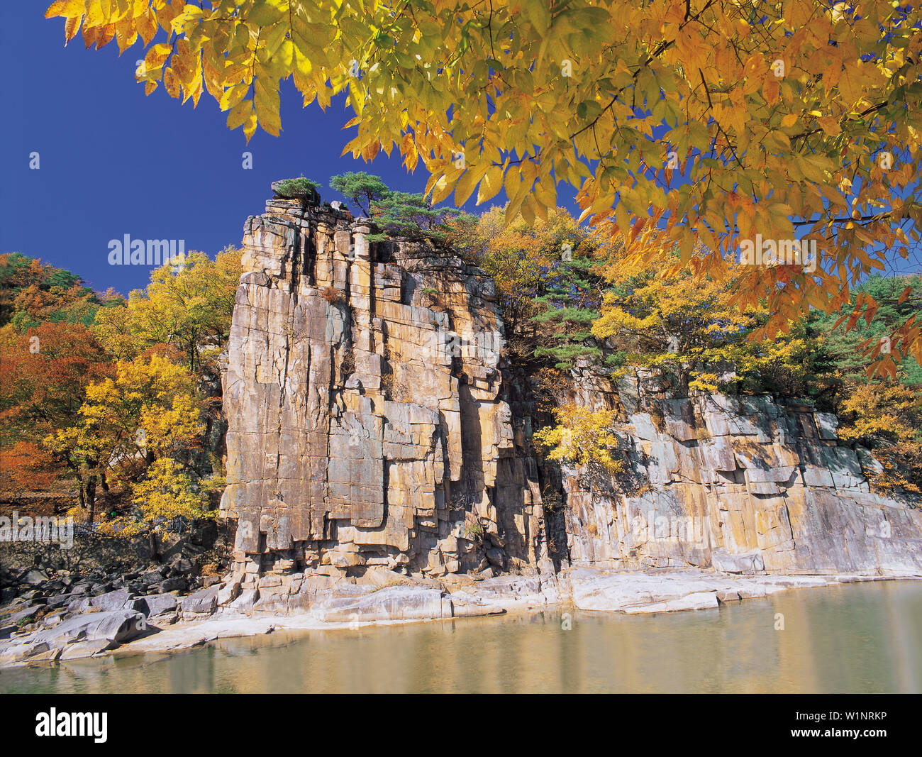 Sainam hi-res stock photography and images - Alamy