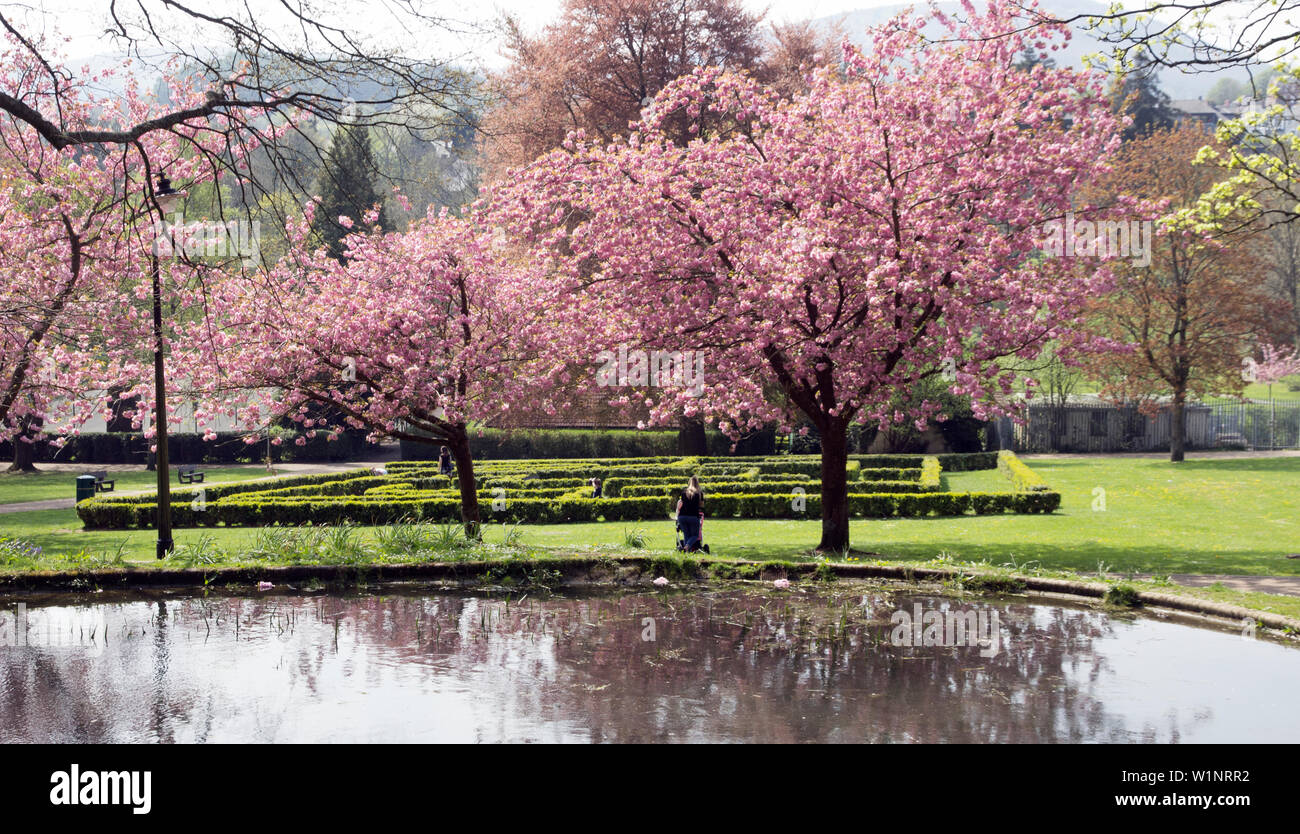 Pontypool hi-res stock photography and images - Alamy