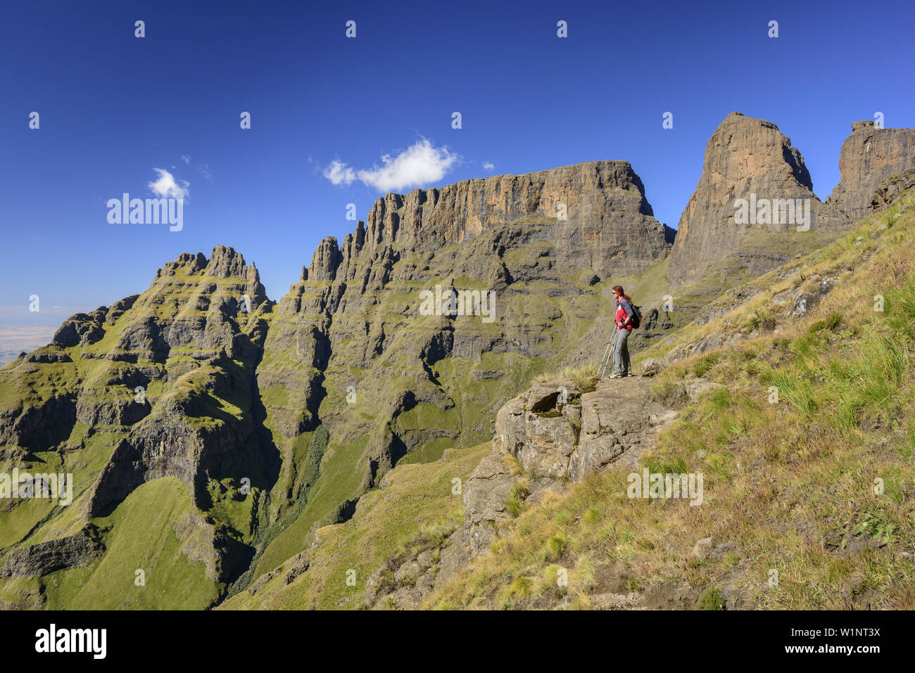 Monks cowl drakensberg hi-res stock photography and images - Alamy