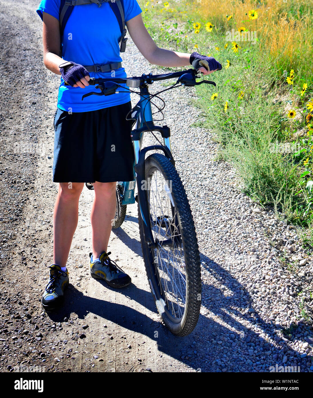 Recreation bike hi-res stock photography and images - Alamy