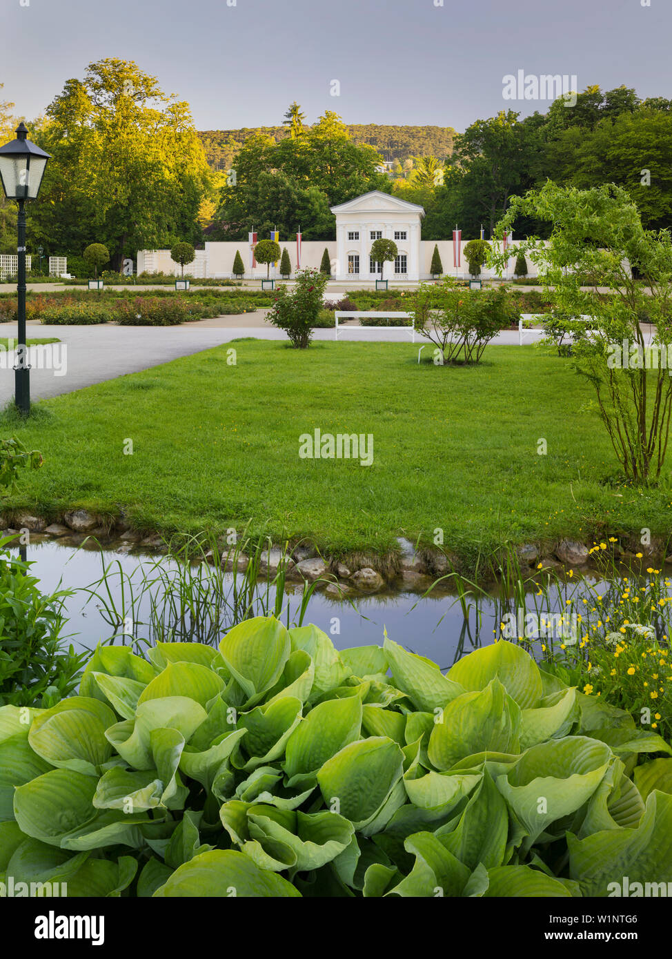 Baden rosarium hi-res stock photography and images - Alamy