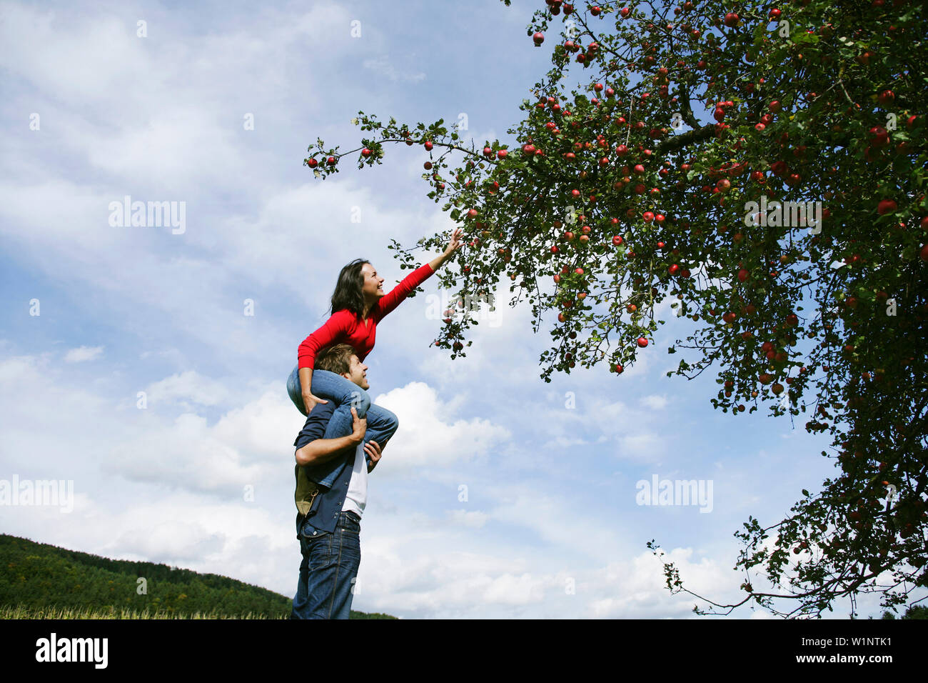 People reaching fruit on tree hi-res stock photography and images - Alamy