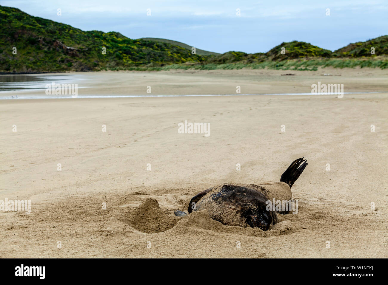 Cannibal bay beach hi-res stock photography and images - Alamy