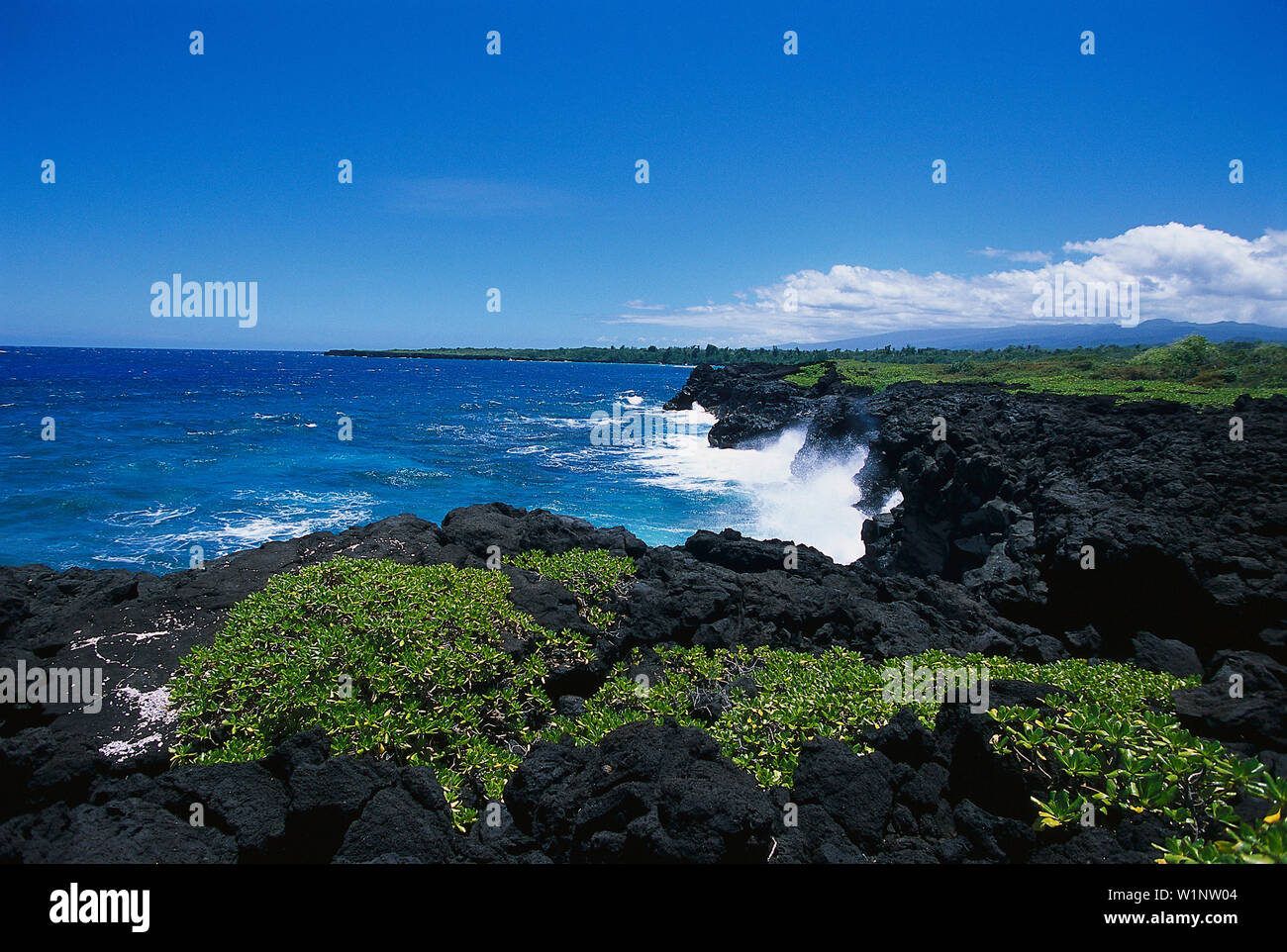 Savai’i samoa lava hi-res stock photography and images - Alamy