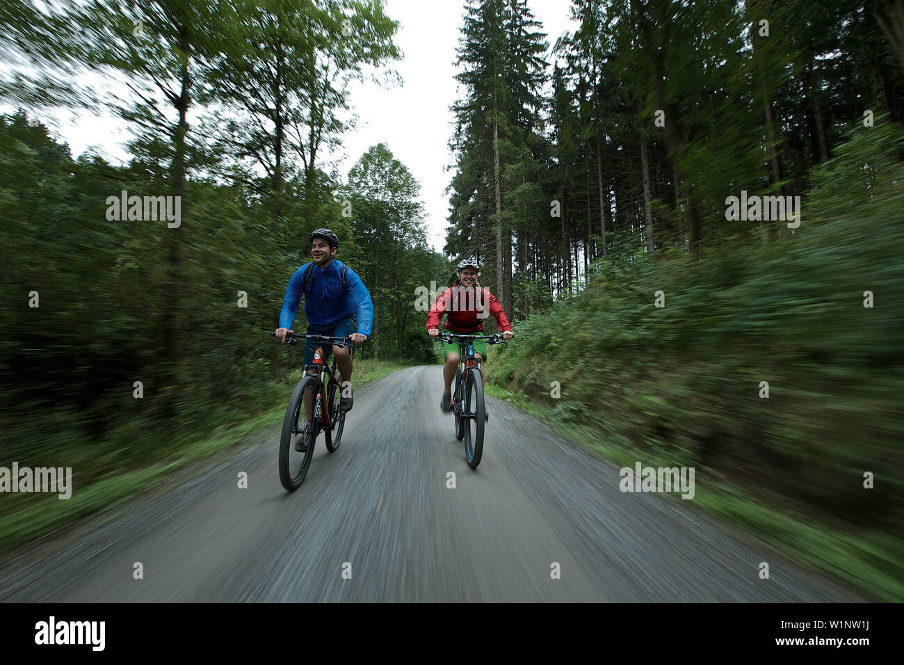 Cyclists riding down a path through a forest Stock Photo - Alamy