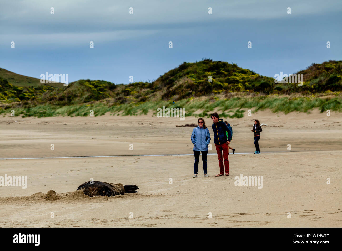 Cannibal bay beach hi-res stock photography and images - Alamy