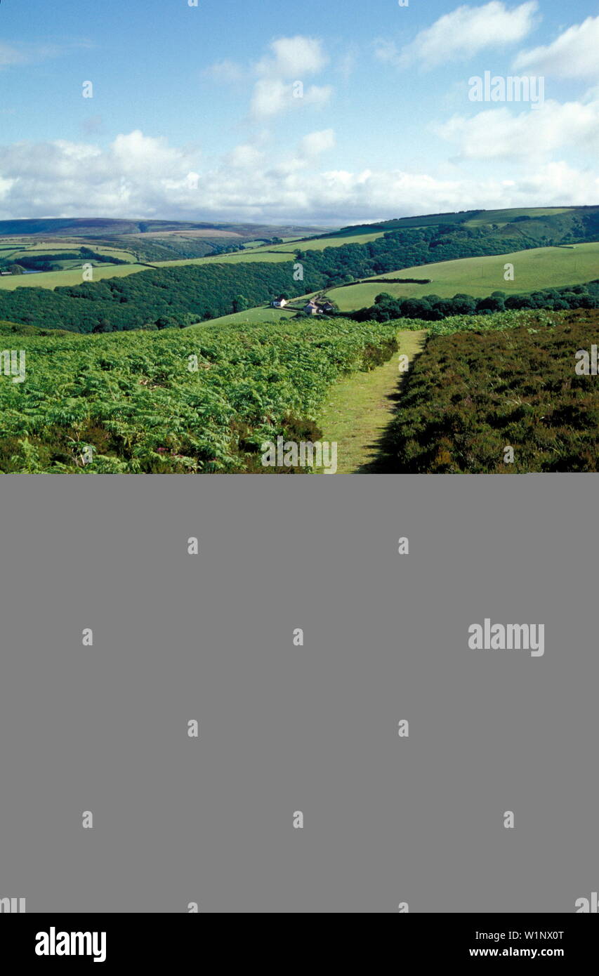 Exmoor near Porlock, Devon Exmoor Europe, England Stock Photo - Alamy