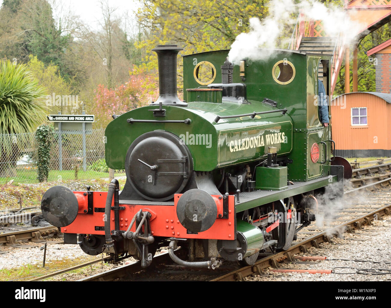 Andrew Barclay saddle tank No 1219 Caledonia Works at Buckfastleigh ...