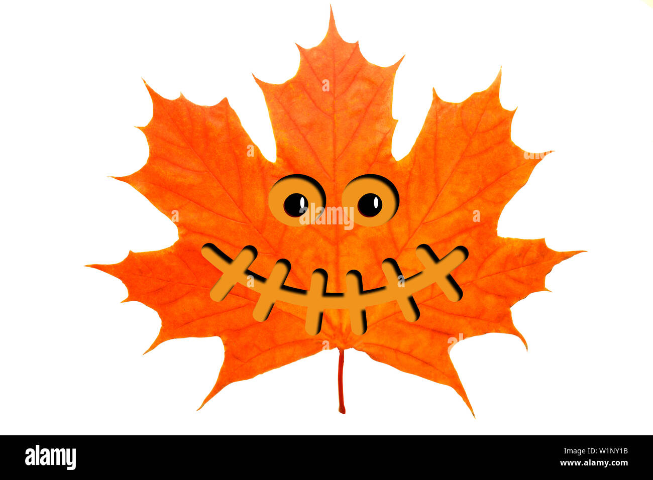 red maple leaf with Halloween face Stock Photo - Alamy