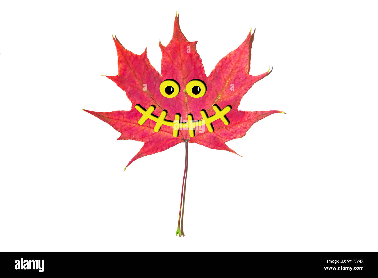 maple leaf with Halloween face Stock Photo - Alamy