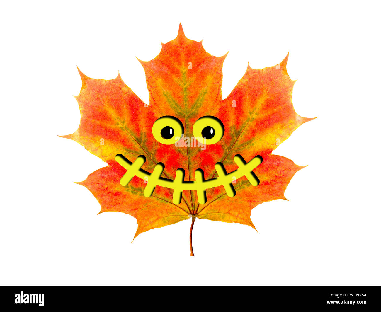 red maple leaf with Halloween face Stock Photo - Alamy