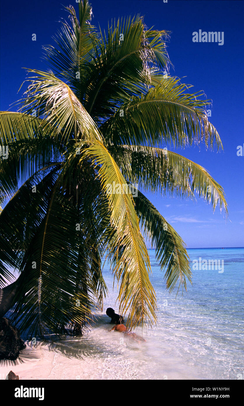Makemo - Tuamotu Islands French Polynesia - South Pacific Stock Photo ...