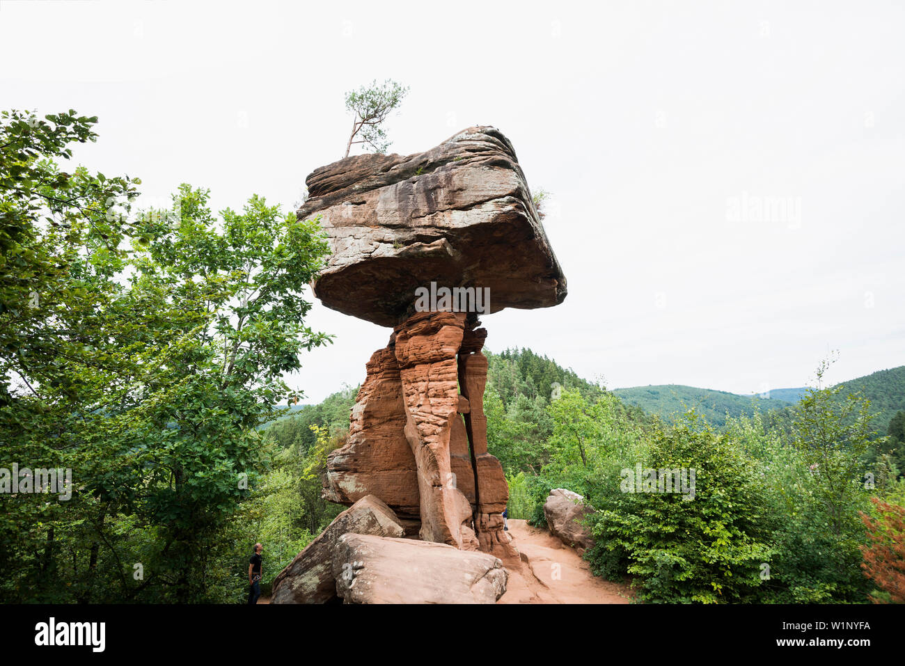 The Devil's Table, near Hinterweidenthal, Palatinate Forest, Rhineland ...