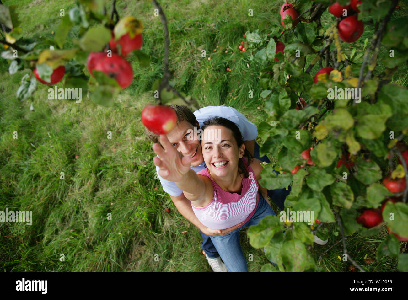 Man eating apple under tree hi-res stock photography and images - Alamy