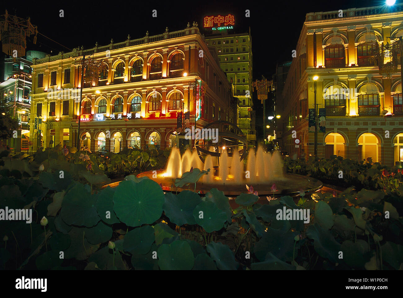 Macao lotus hi-res stock photography and images - Alamy