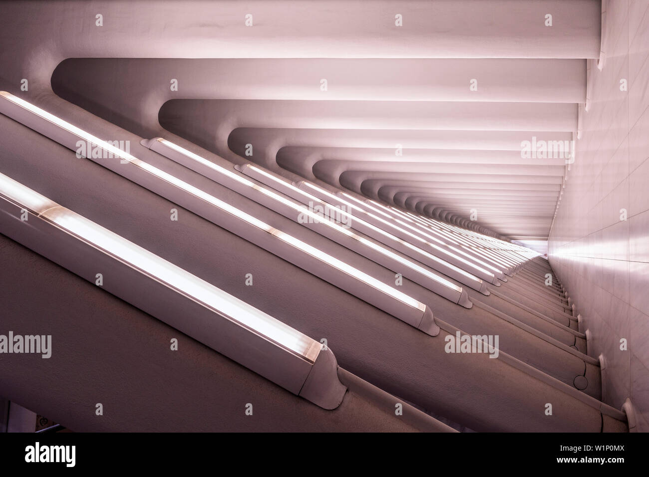 the Oculus, detail of supporting structure, futuristic train station by ...