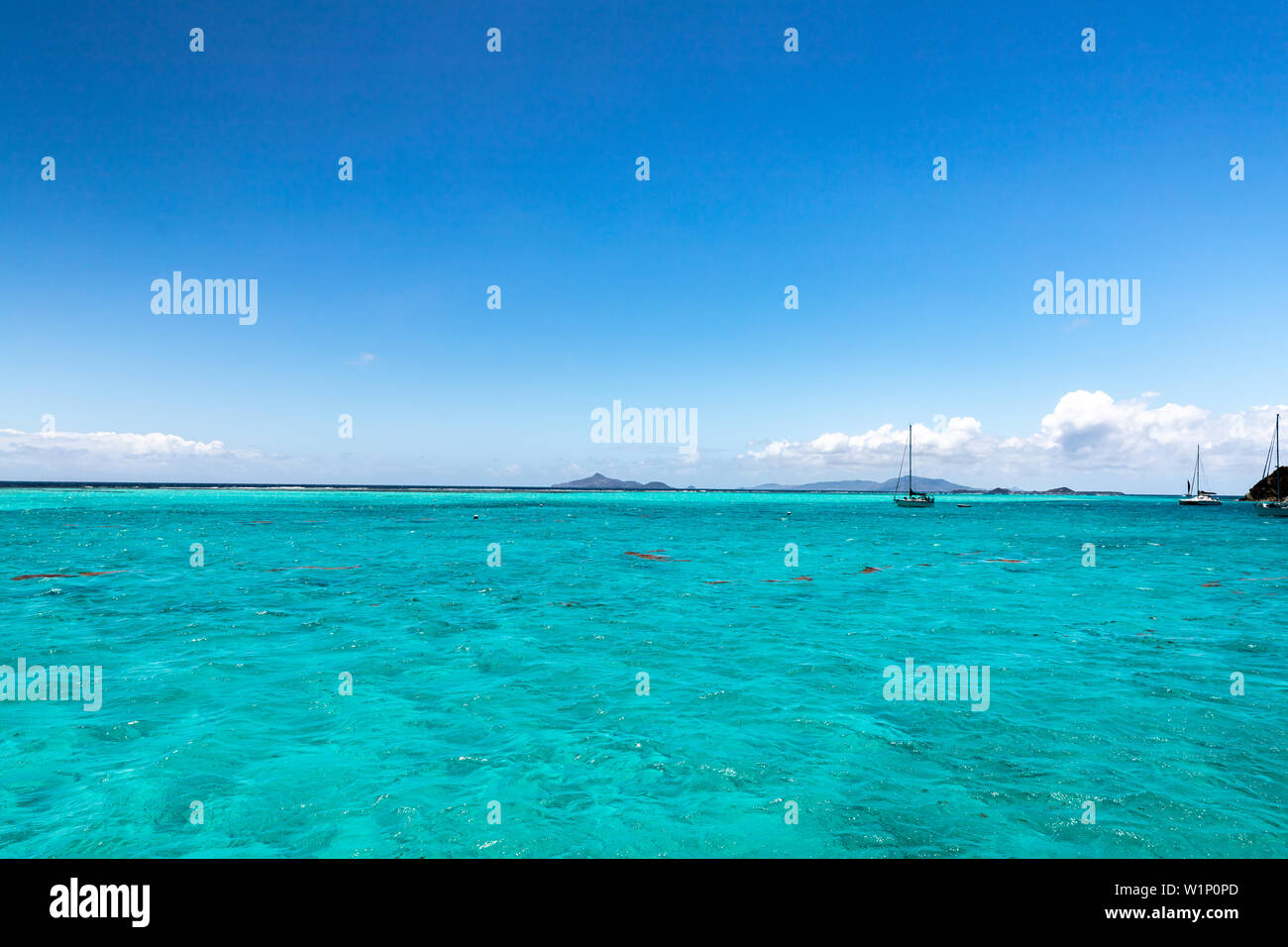 Saint Vincent and the Grenadines, Tobago Cays Stock Photo - Alamy