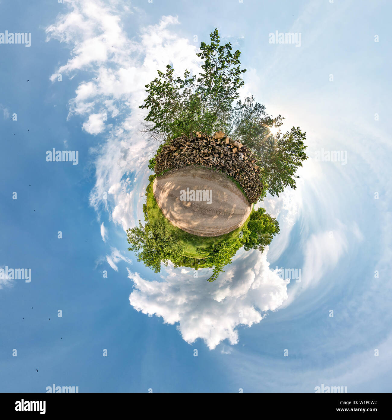 Little planet transformation of spherical panorama 360 degrees ...