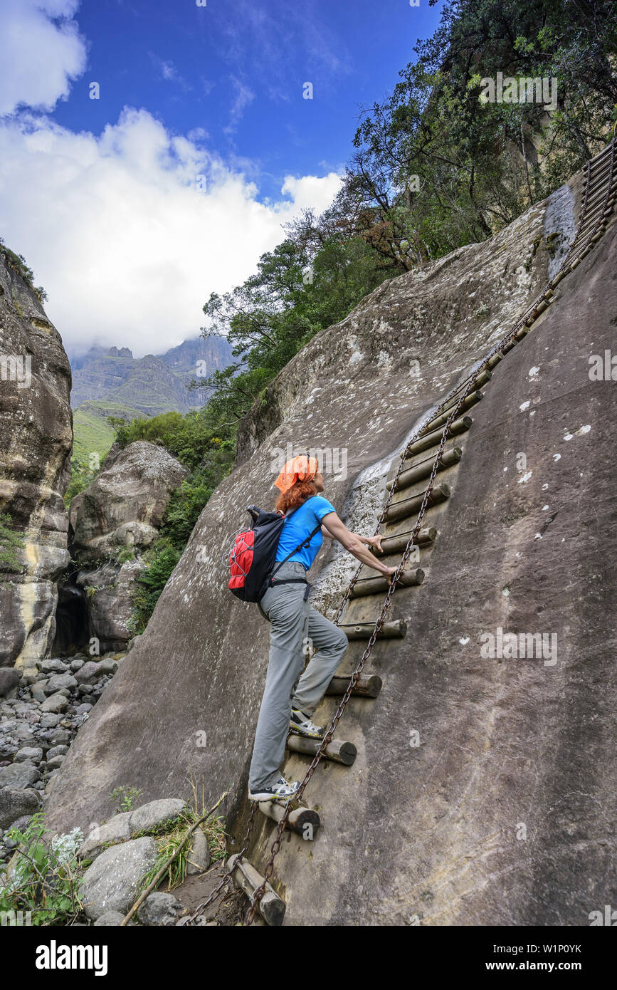 Woman hiking ascending on ladder in Tugela Gorge, Tugela Gorge ...