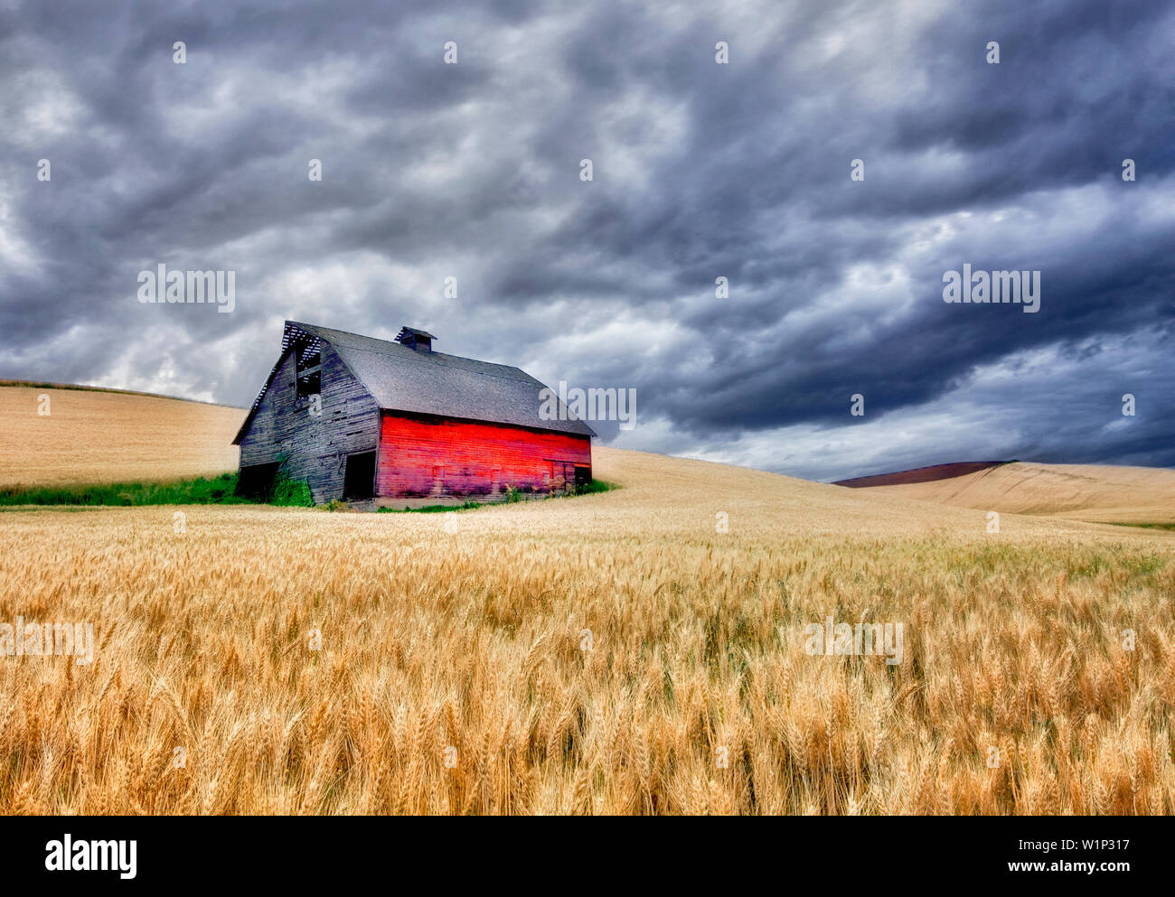 Barn in wheat field with approaching storm clouds. The Palouse ...