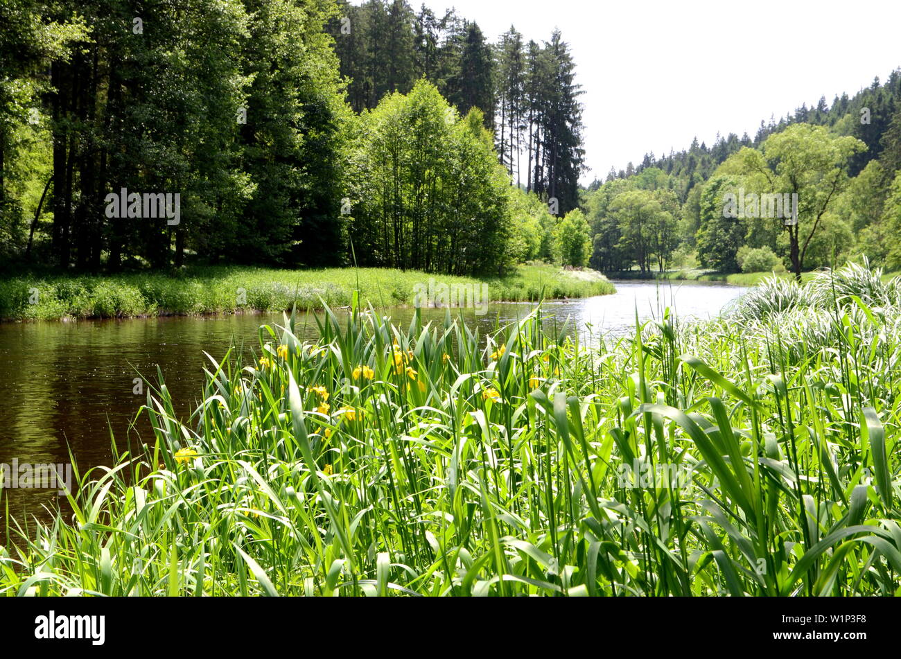Czech republic bohemia forest in hi-res stock photography and images ...