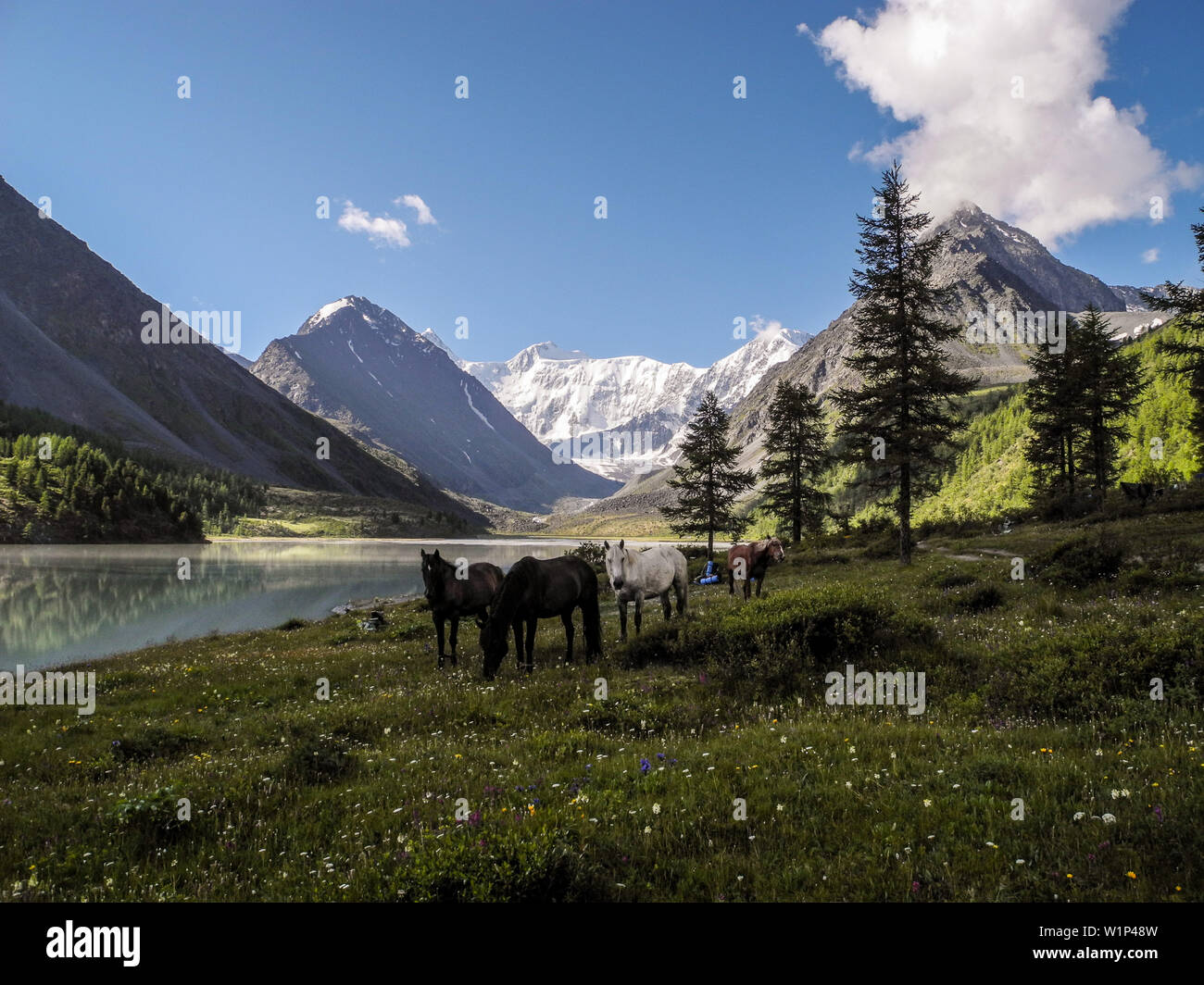 Ozero hi-res stock photography and images - Alamy