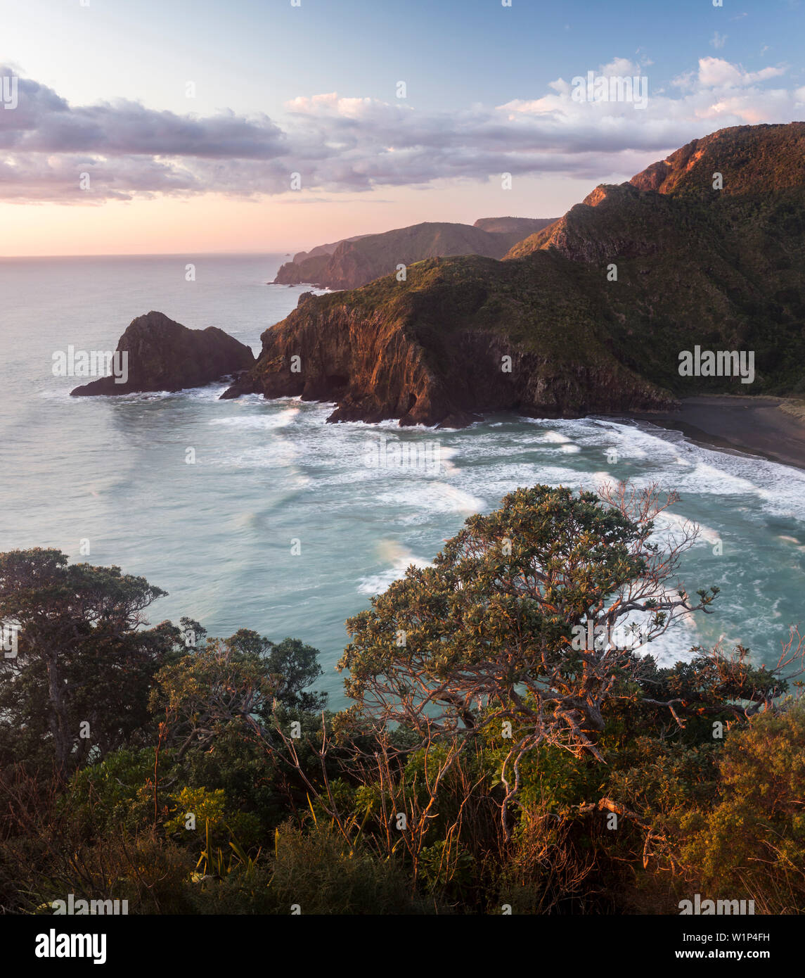 Piha, Waitakere Ranges Regional Park, Auckland, Tasman Sea, North ...