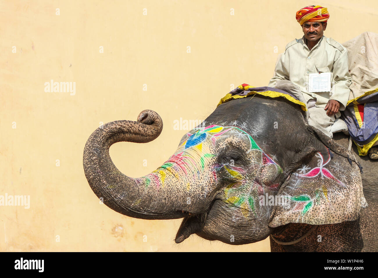 Indian elephant rides hi-res stock photography and images - Alamy