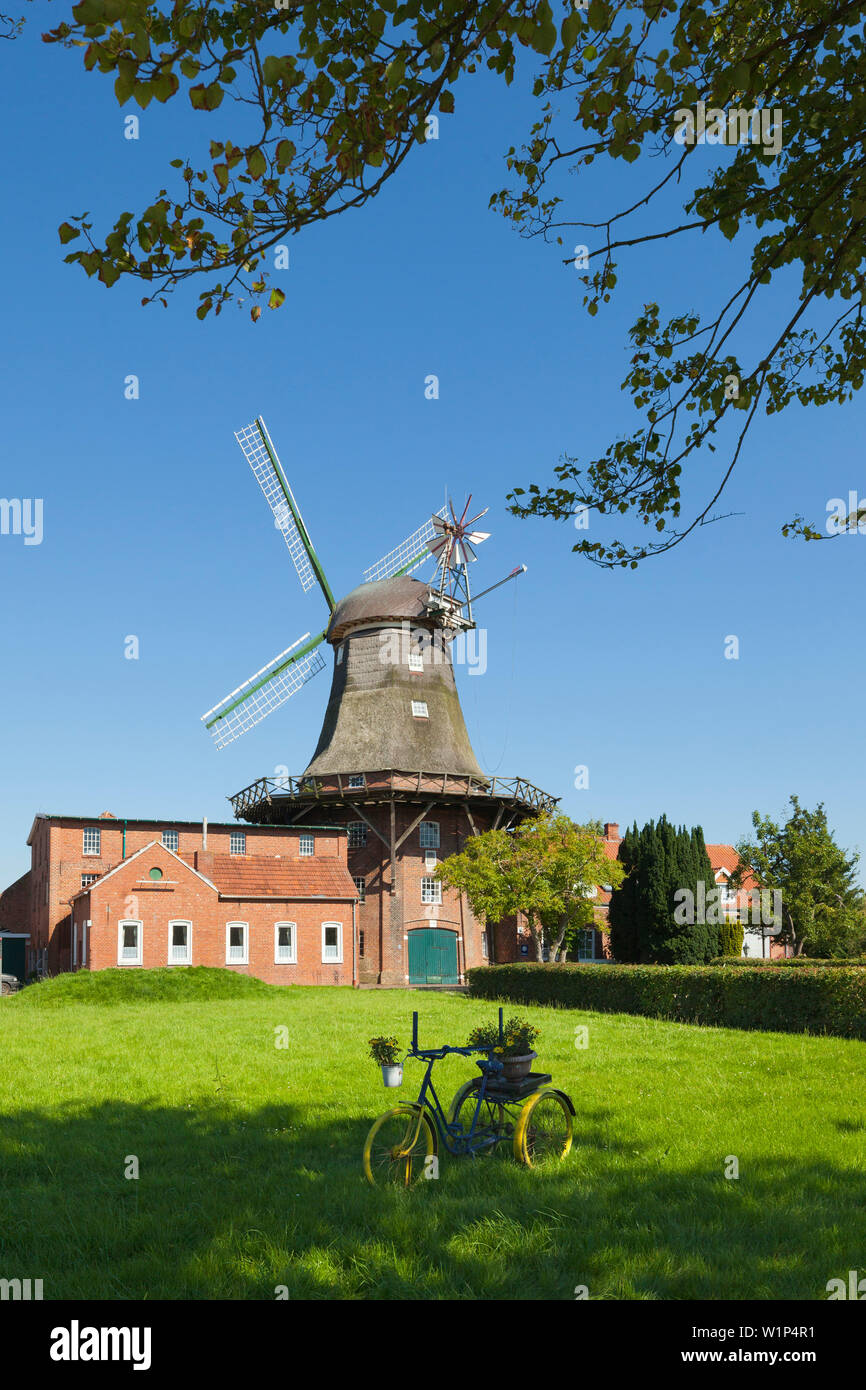 Museum pewsum hi-res stock photography and images - Alamy