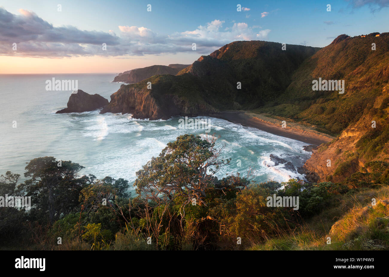 Piha, Waitakere Ranges Regional Park, Auckland, Tasman Sea, North ...