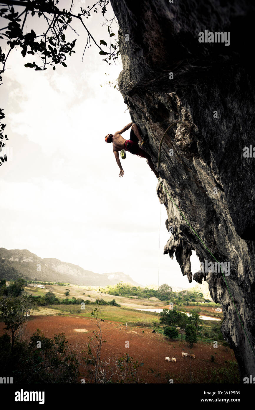 Rock climbing contest hi-res stock photography and images - Alamy