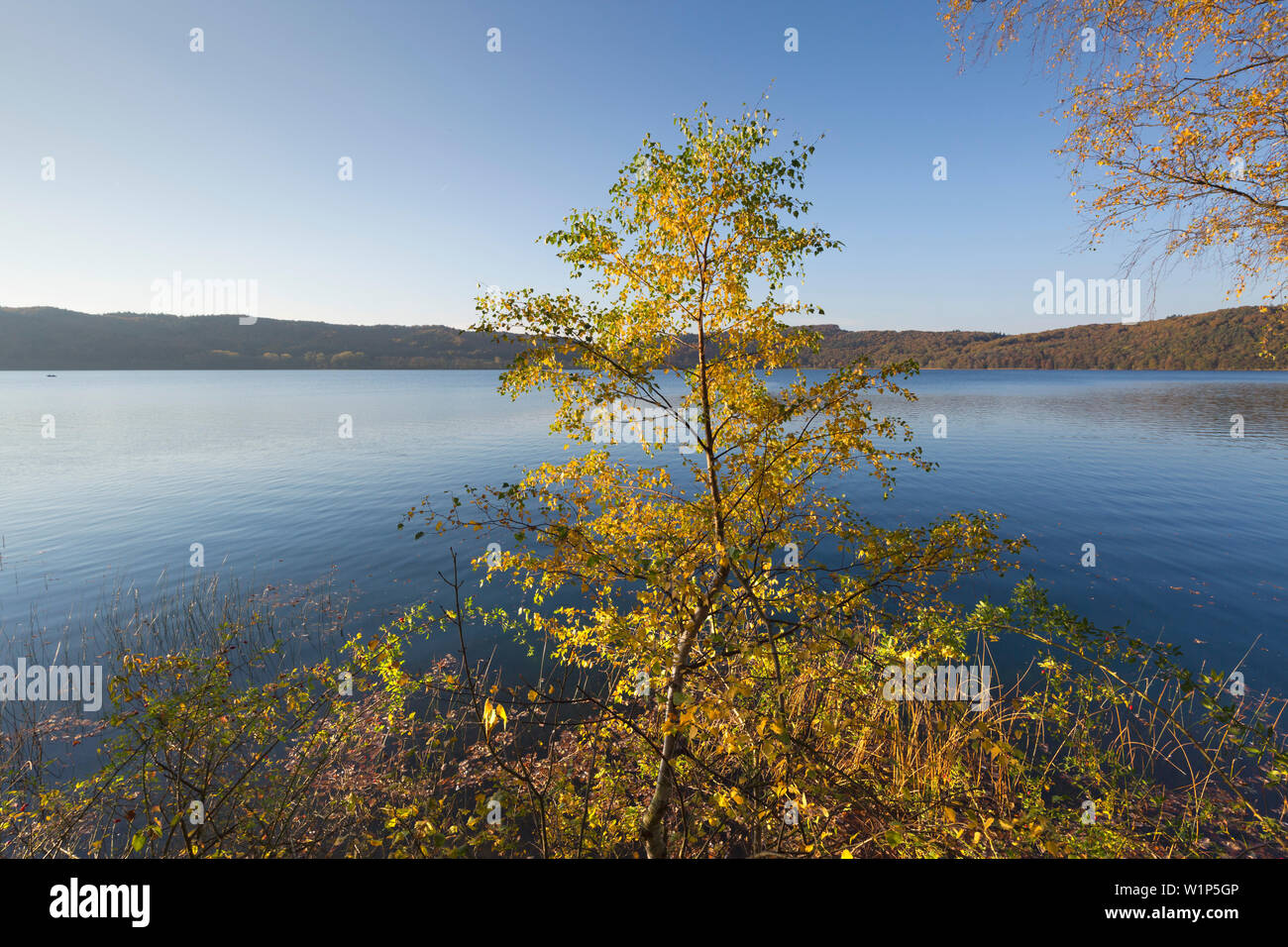 Laach lake germany hi-res stock photography and images - Alamy