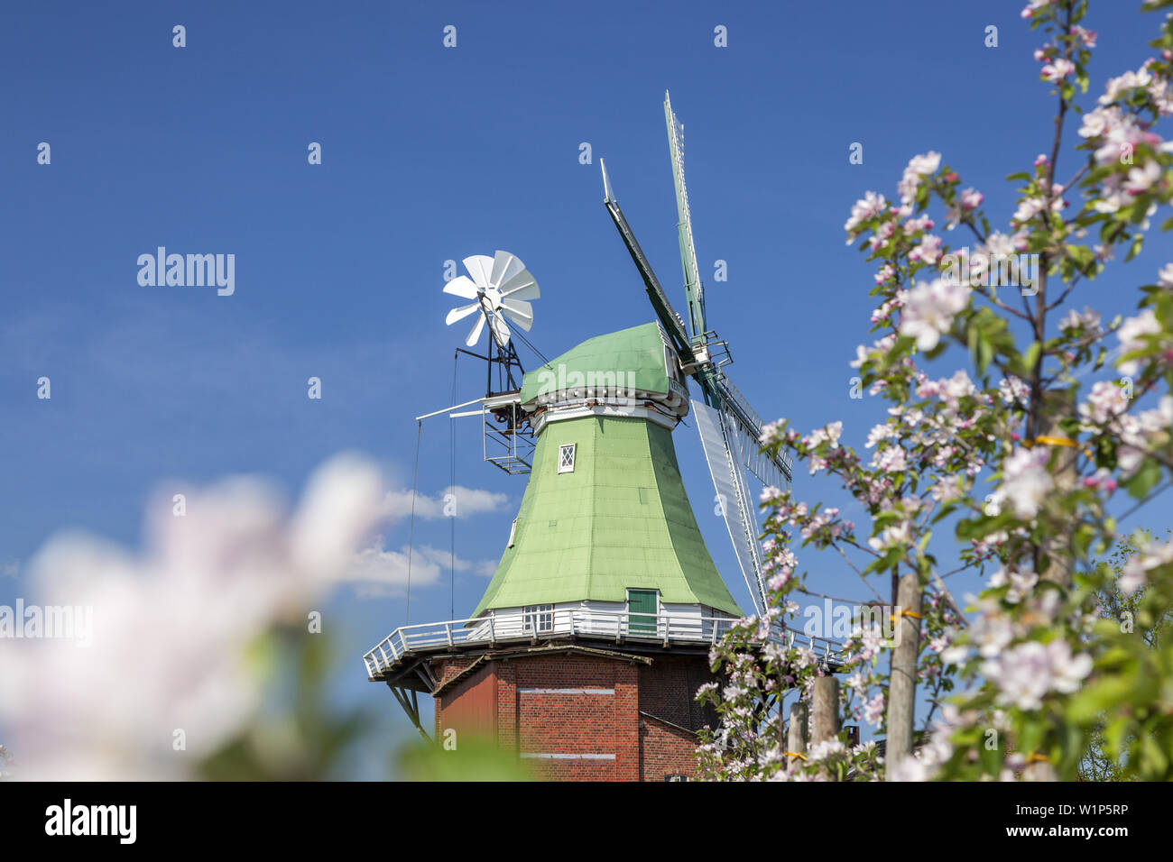 Amica hi-res stock photography and images - Alamy