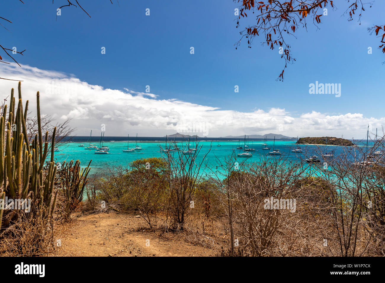Saint Vincent and the Grenadines, Tobago Cays Stock Photo - Alamy