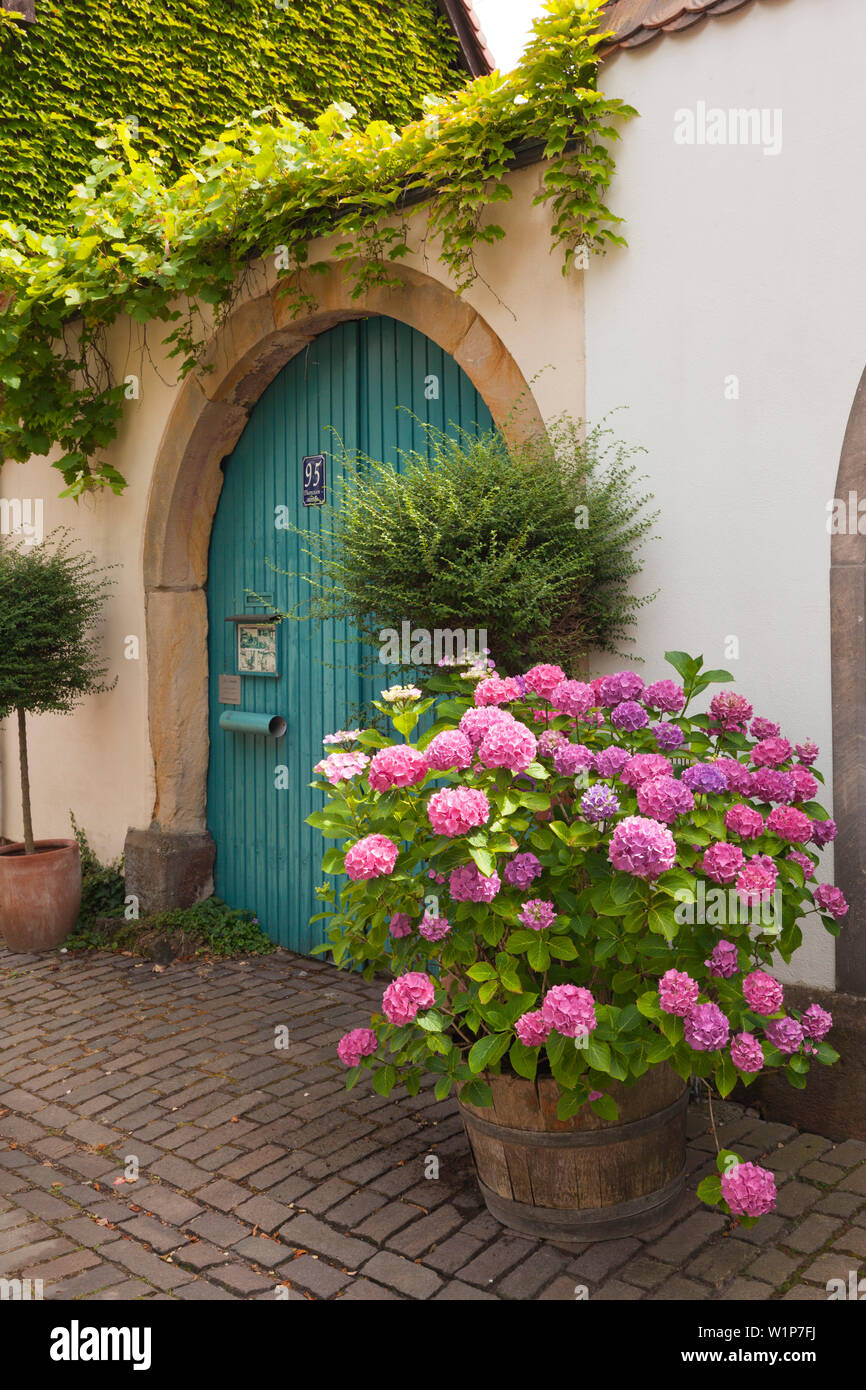 Vintner houses hi-res stock photography and images - Alamy