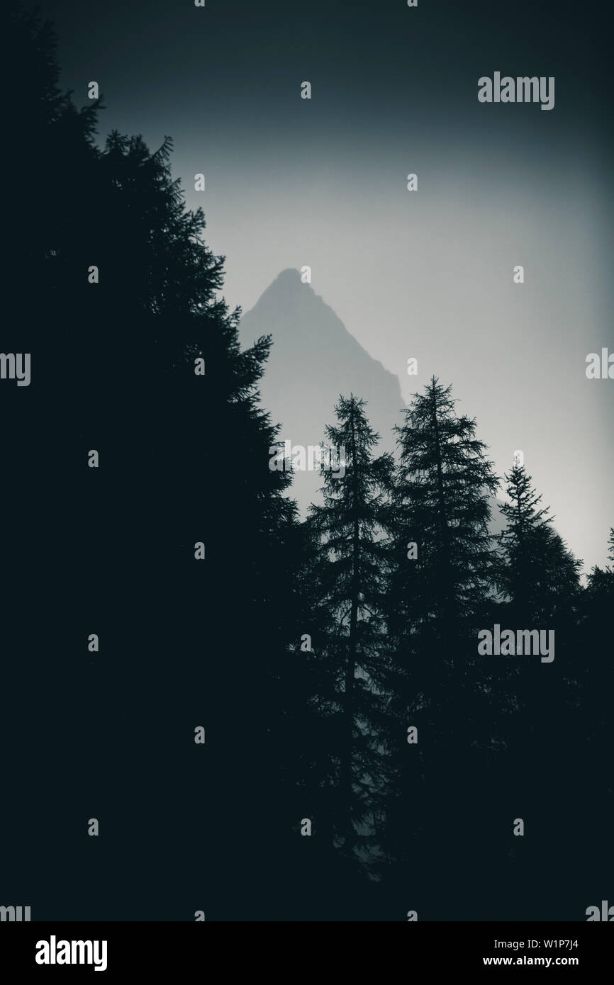 Behind lechtal alps hi-res stock photography and images - Alamy