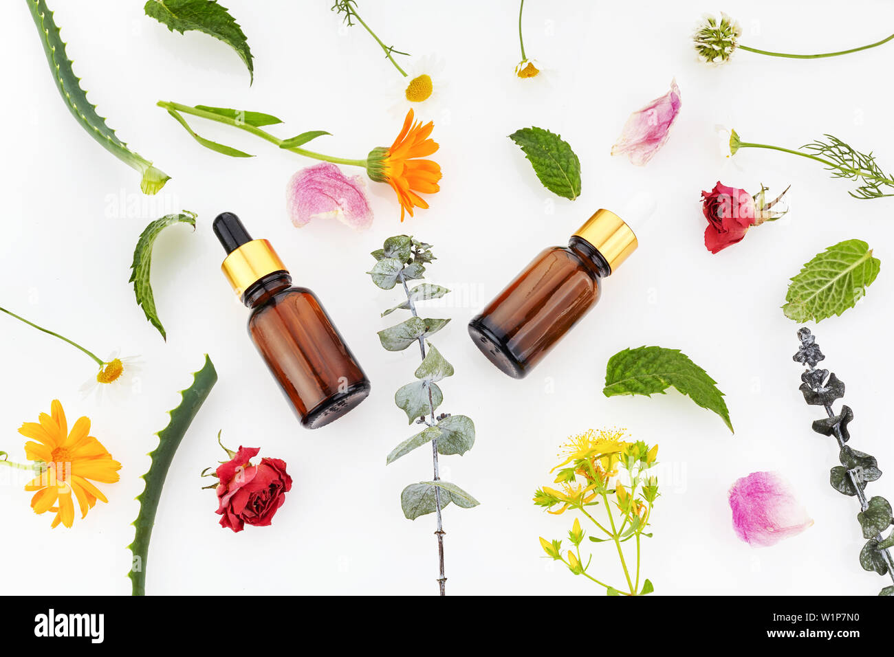 essential oil and herbs on a white background Stock Photo - Alamy